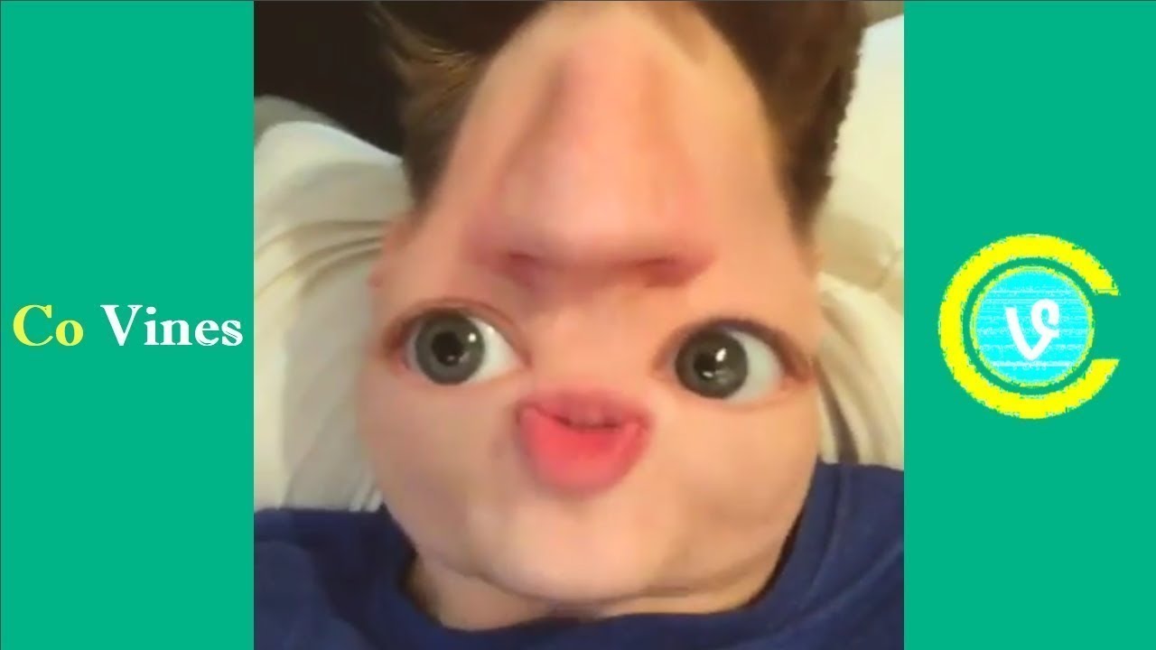 my favorite (clean) Vine COMPILATION | funny videos - YouTube