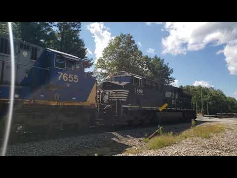 New Favorite Horn - NS 6971