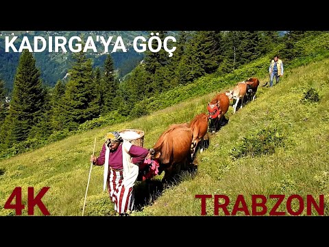 KADIRGA YAYLASINA GÖÇ BELGESELİ