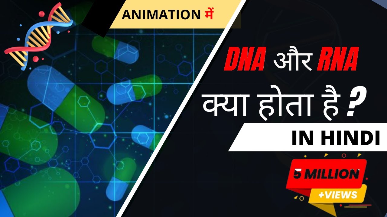 🧬DNAऔर RNA क्या होता है?🧑‍🔬 || DNA RNA Interference Animation ...