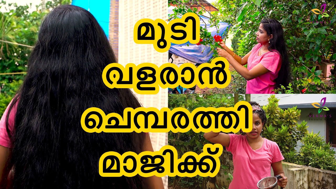 Chembarathi poovu hair pack for Hair growth | Hibiscus Hair Mask for ...