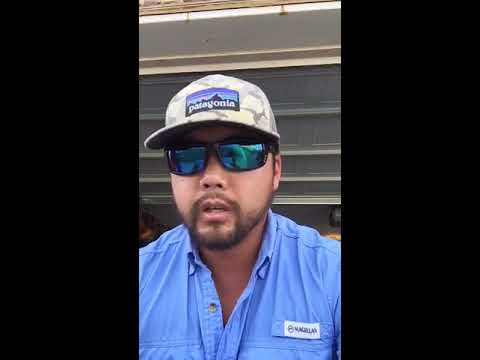 SPECIAL EDITION: James Huling responds to Natalie Negrotti of Big ...