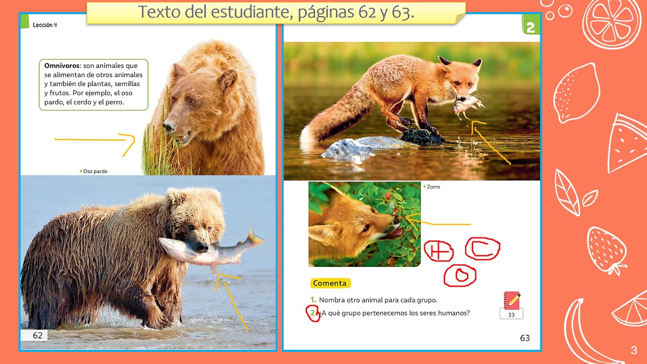 Alimentación de los animales - Actividades semana del 13 al 17 de julio ...