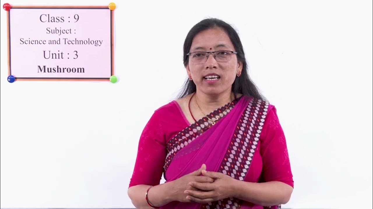 [EN] 26 Class 9 Science Unit 3 Mushroom - YouTube