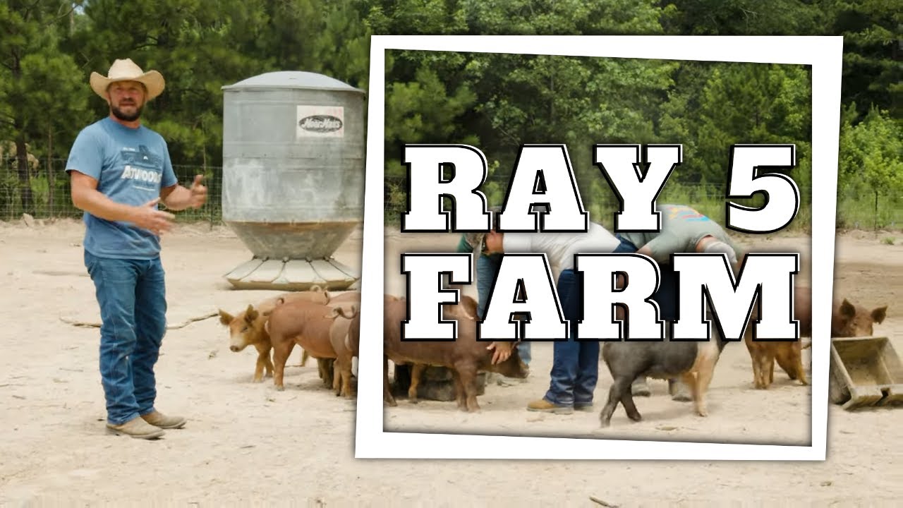 Farmer Profile | Ray 5 Farm - YouTube