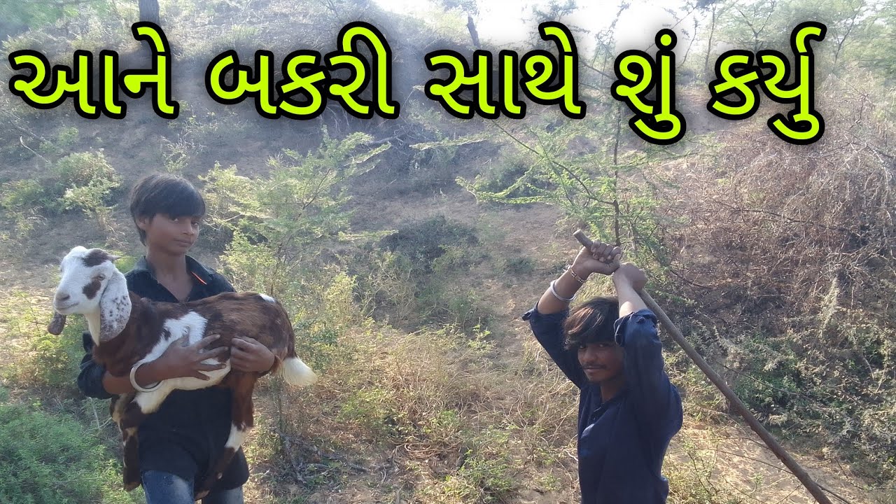 આને બકરી સાથે શું કર્યુ Gujrati Comedy Videos Surpalsinh Antroli - YouTube