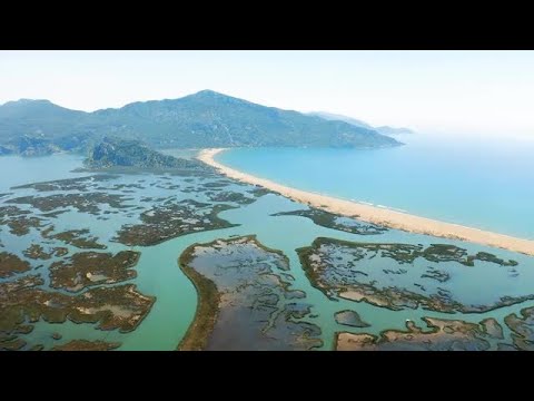 Iztuzu Sand Spit Stock Video