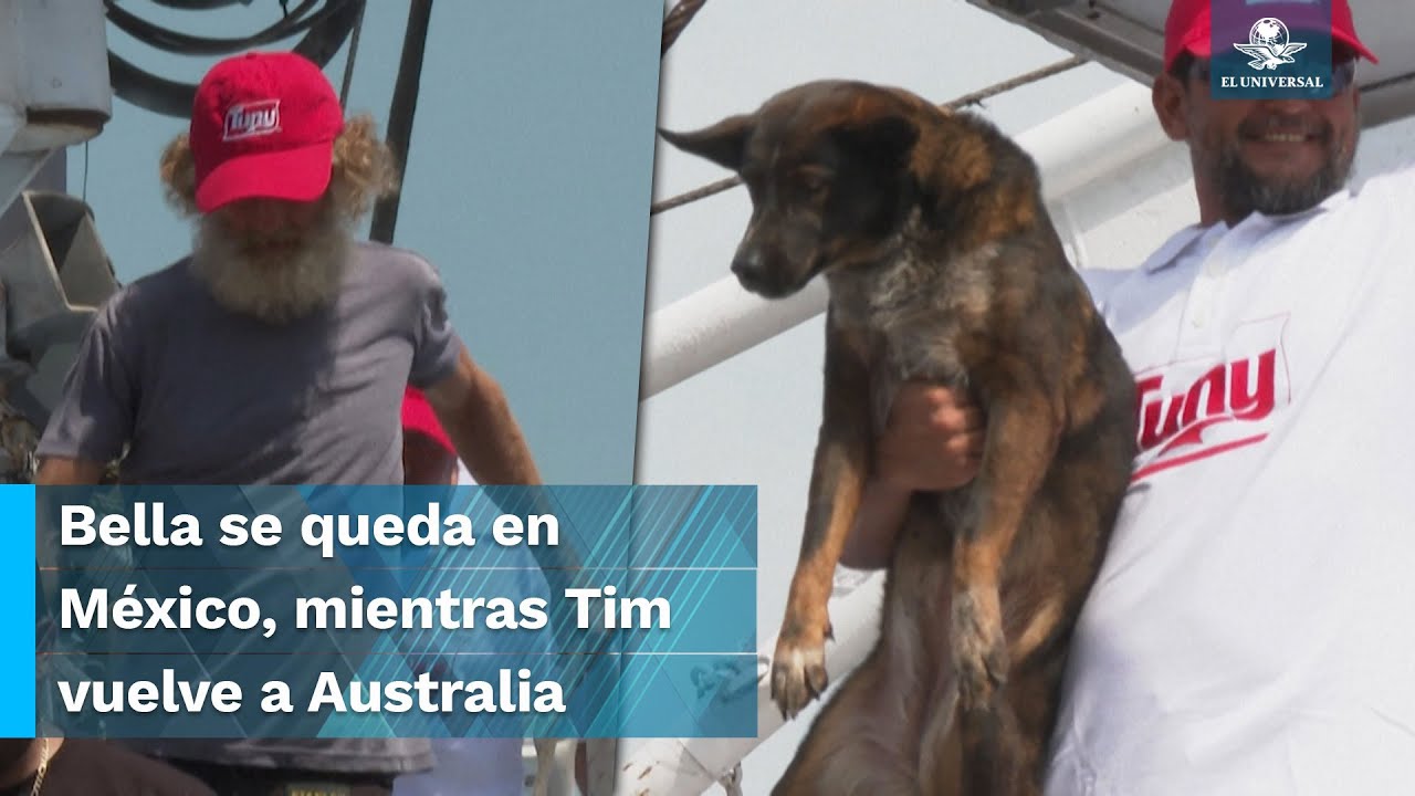 “Nos volveremos a ver”: Tim Shaddock se despide de perrita “Bella” en ...