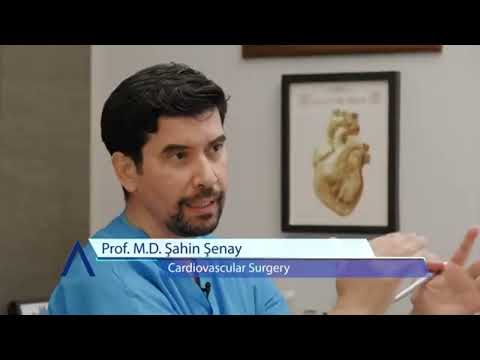 Meet Prof. Dr. Şahin Şenay: Expert in Internal Medicine and Endocrinology