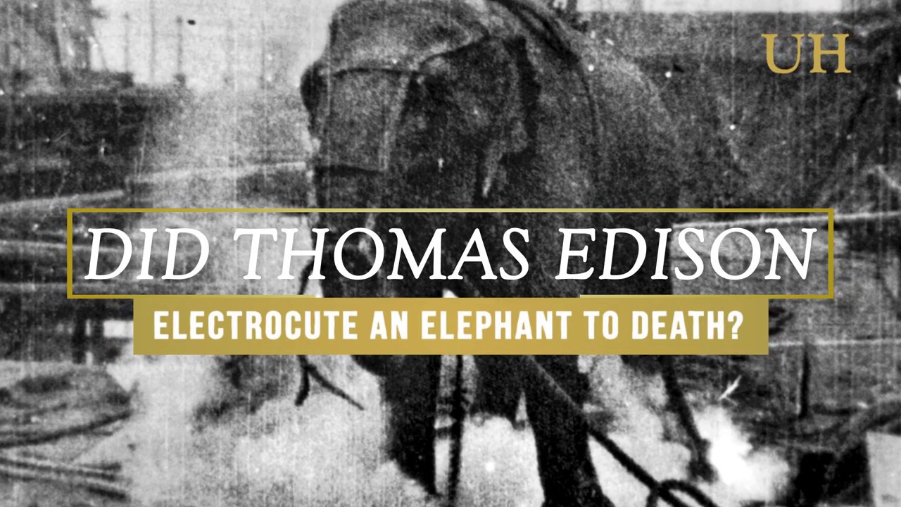Did Thomas Edison Electrocute an Elephant? - YouTube