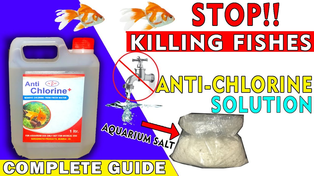 #1 ANTI-CHLORINE MEDICINES FOR AQUARIUM FISHES :COMPLETE GUIDE FOR FISH ...