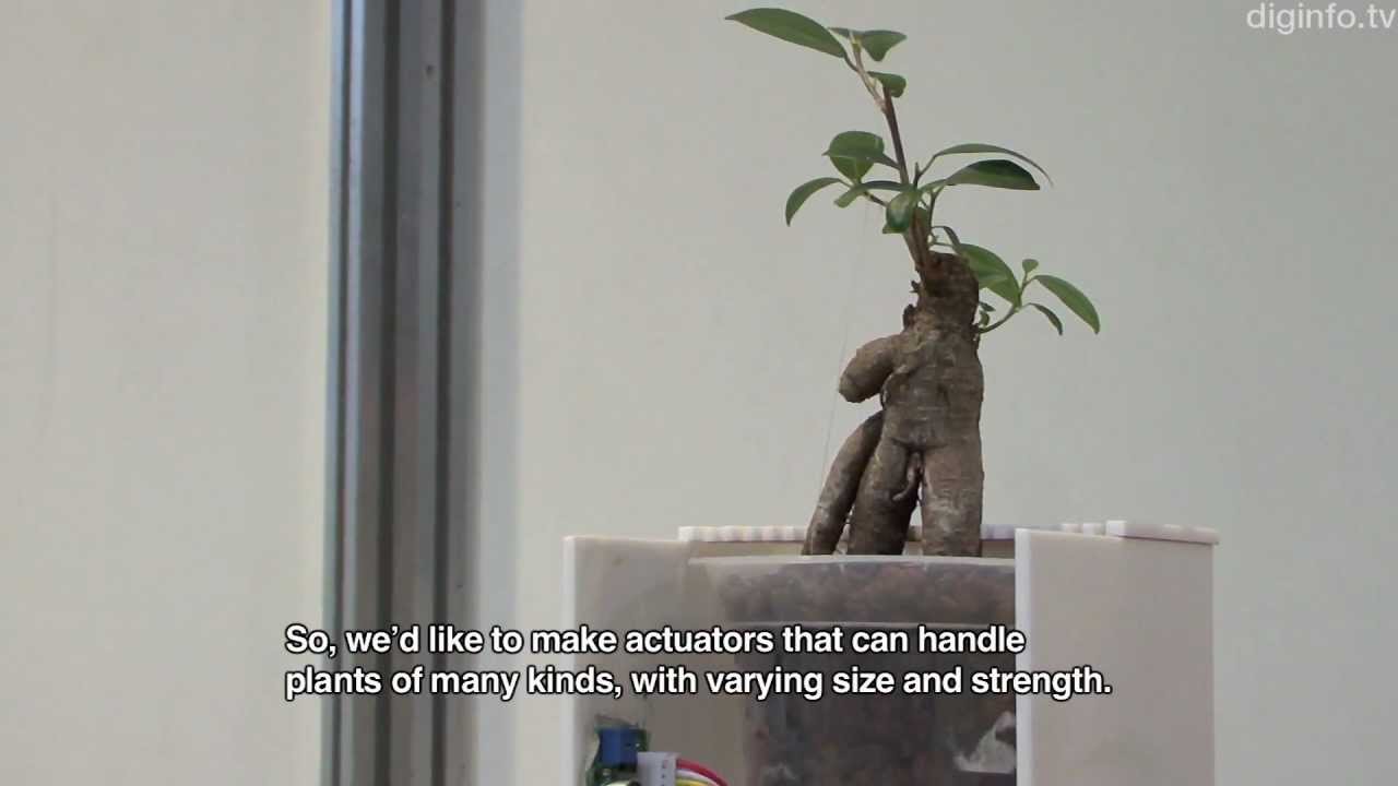 Emotional, Interactive Plants From Japan - Amazing! - YouTube