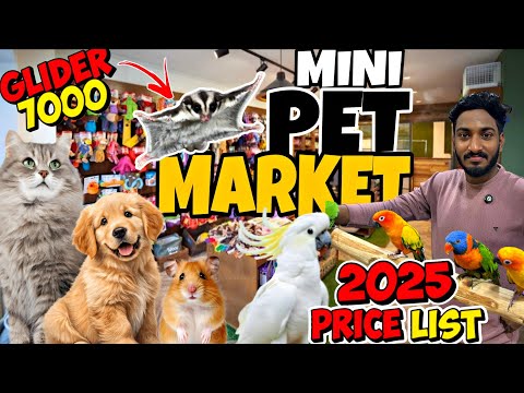 🐾 BK Pet Paradise Chennai 🔥| எல்லா Pets ஒரே இடத்தில் 😍 Birds, Hamsters, Fish, Dogs Full Shop Tour🫰🏻