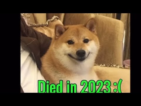 Meme legends that died IRL 😢 - YouTube