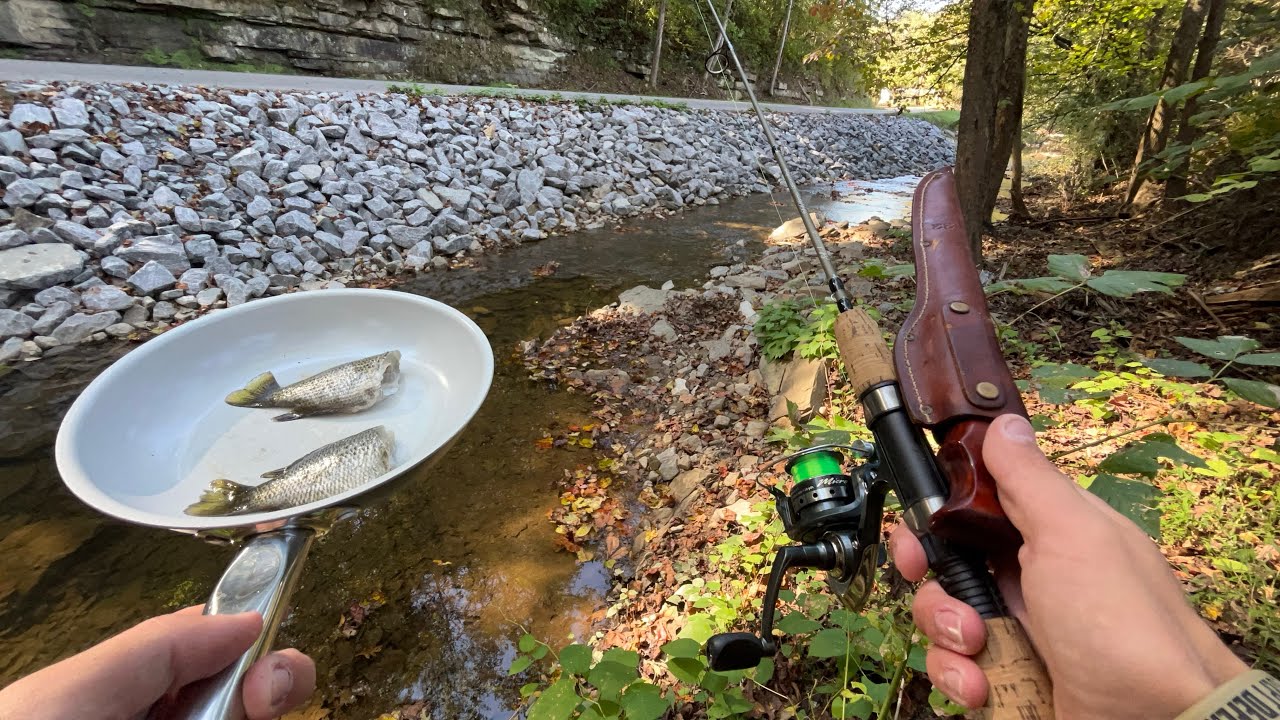INSANE Creek Catch&Cook…(Sunfish* Redeye*) - YouTube