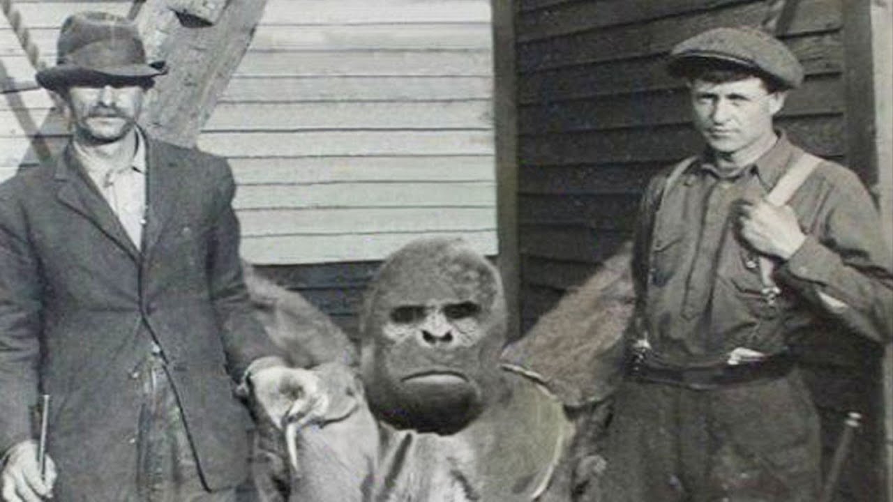 Real-Life Cryptids: Terrifying Creatures You Won't Believe Exist! - YouTube