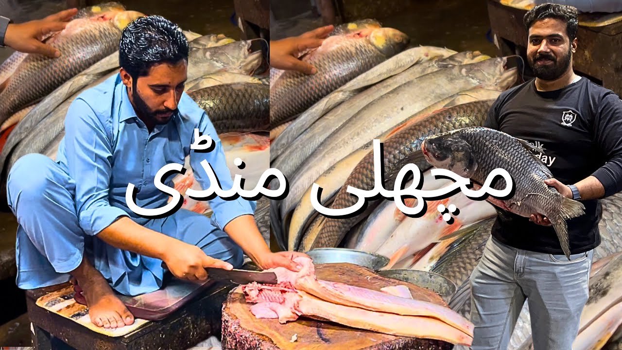 Machli Mandi | مچھلی مندی | Wholesale Fish Market - YouTube
