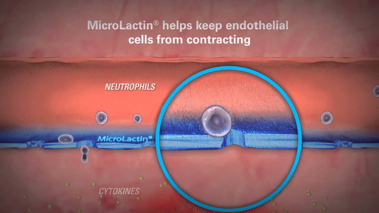 0515 Microlactin VIDEO - YouTube