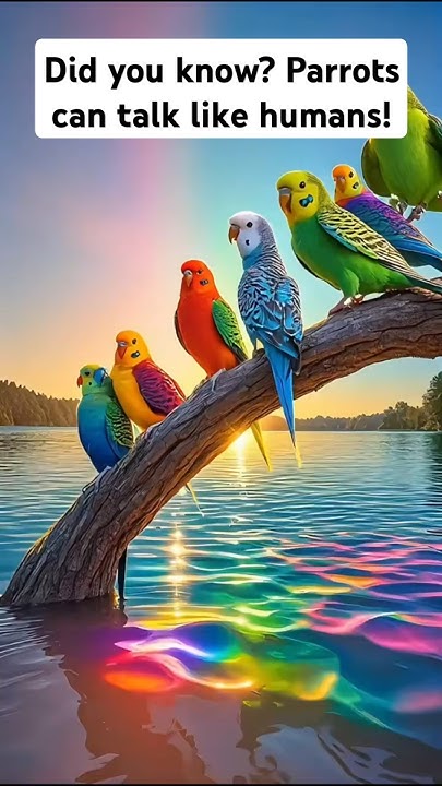 Parrots can talk like humans! #parrot - YouTube