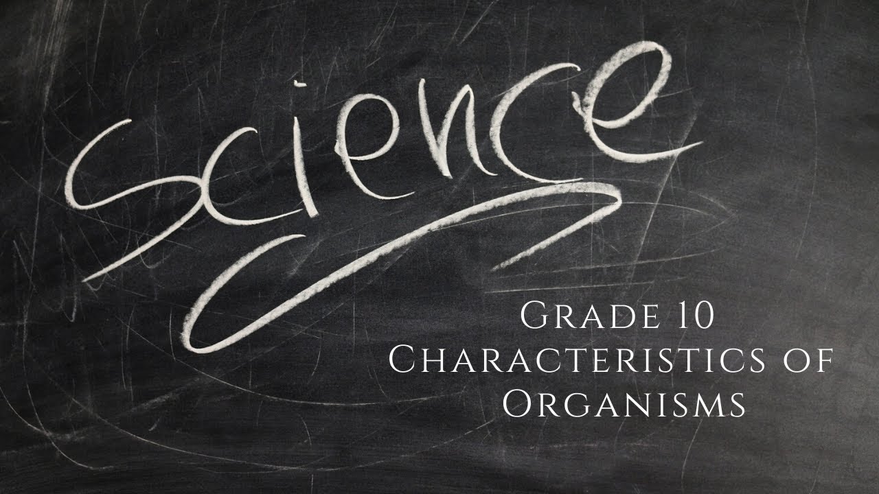 Science Grade 10 Characteristics of Organisms - YouTube