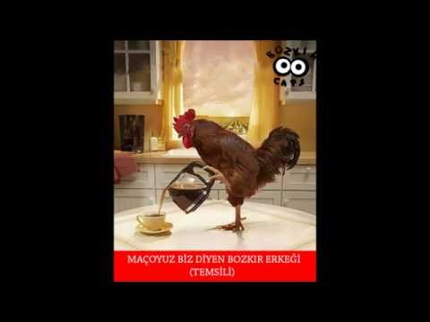 Bozkır CAPS'leri :)