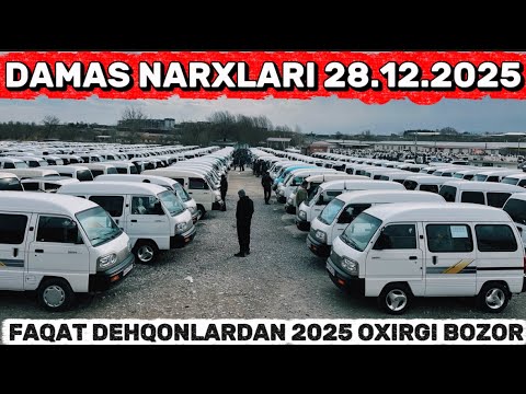 28-DEKABR DAMAS LABO NARXLARI SAMARQAND MOSHINA BOZORI 2025.