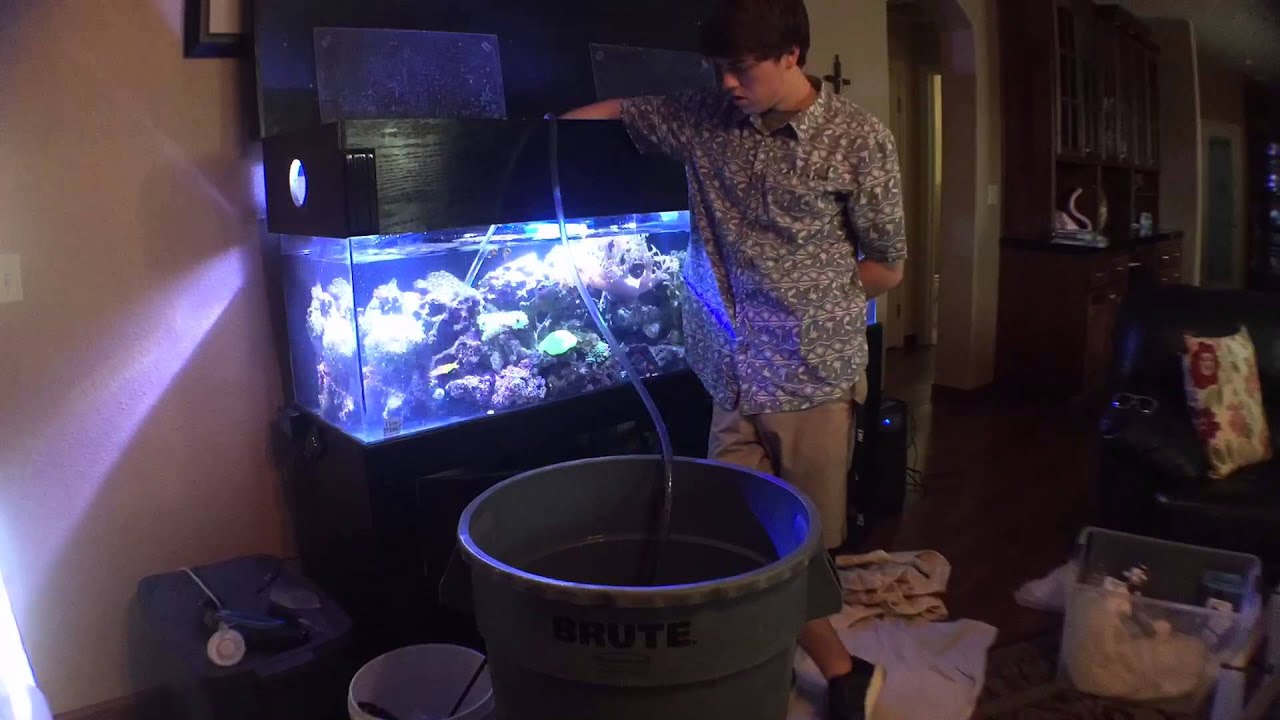 Servicing Paco's 125 Gallon Reef tank - YouTube