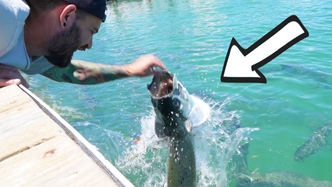 GIANT FISH ALMOST BIT MY FINGERS OFF! - YouTube
