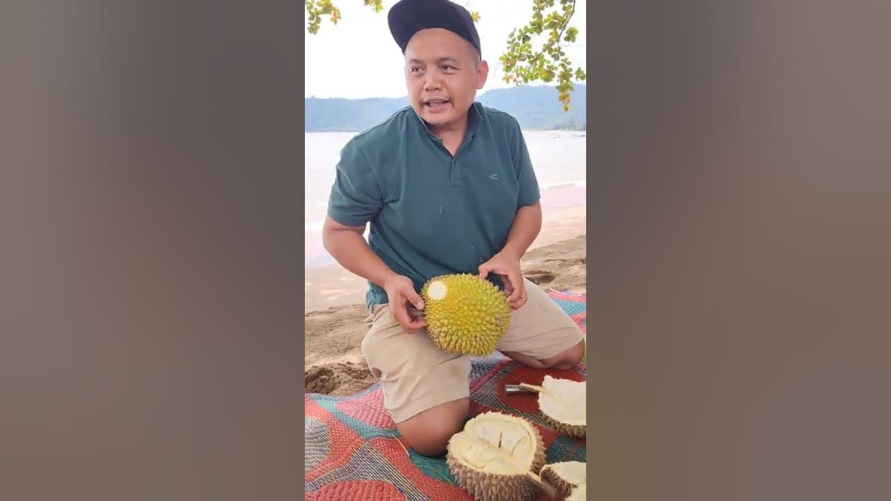 Tim Durian Traveler Indonesia review durian Terenak di Sumatra Barat - YouTube