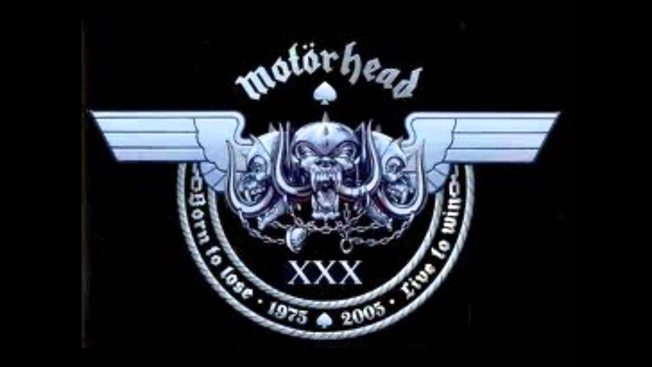 Motorhead Dogs - YouTube