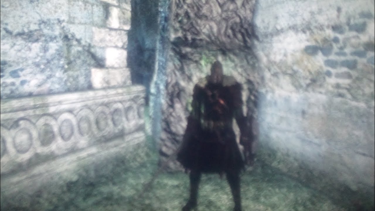 dark souls 2 Drake Warden foot soldier build - YouTube