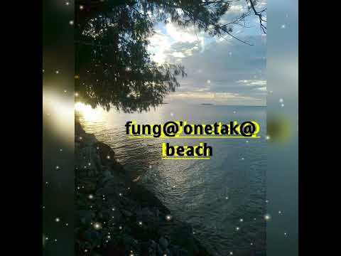 'Amanaki Tōnoa FUNGA'ONETAKA 2 - YouTube