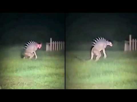 15 Unsolved Mysteries That Cannot Be Explained