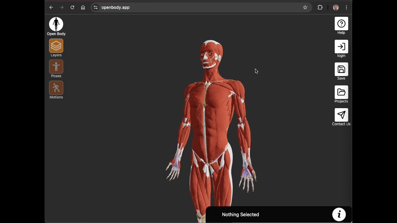 open body demo quick overview - YouTube