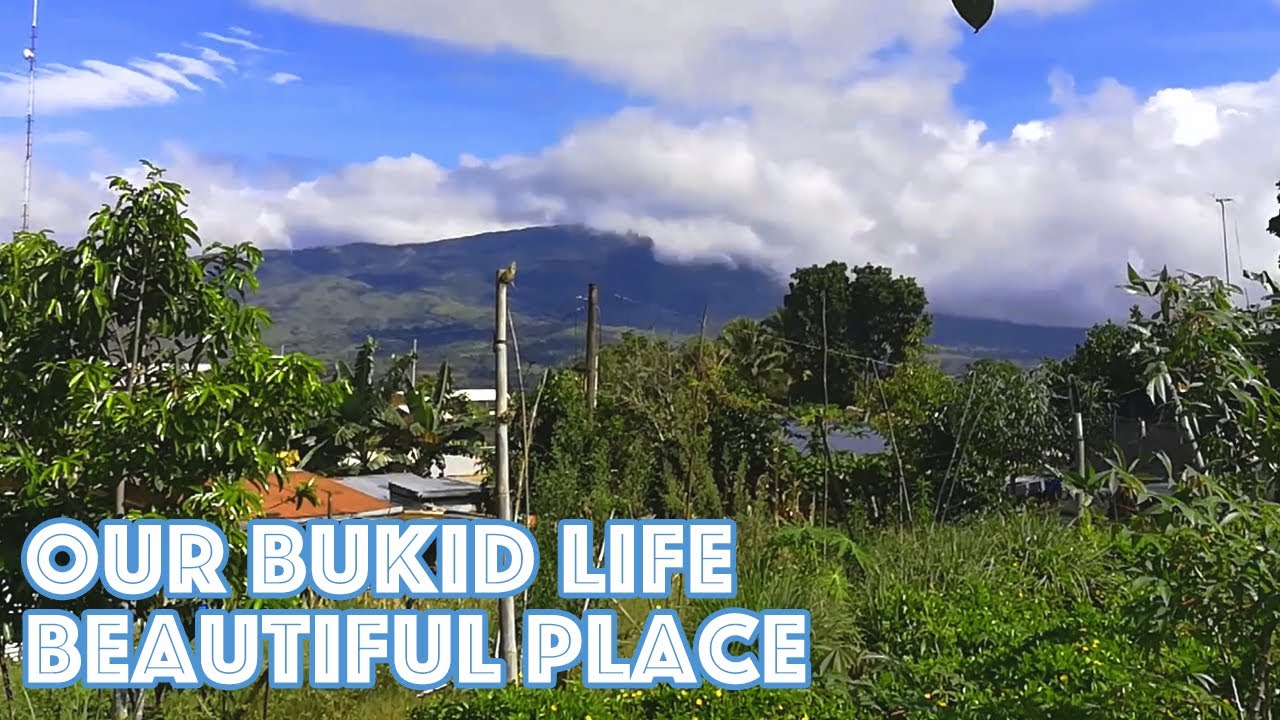 HOUSE TOUR PROVINCE STYLE | BUKID LIFE | FRUITS and VEGETABLES ...