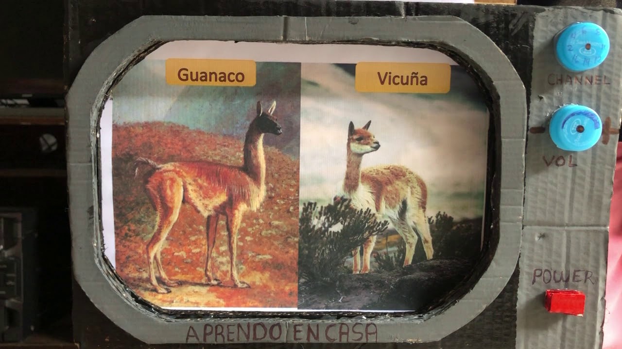 Televisor de carton - YouTube