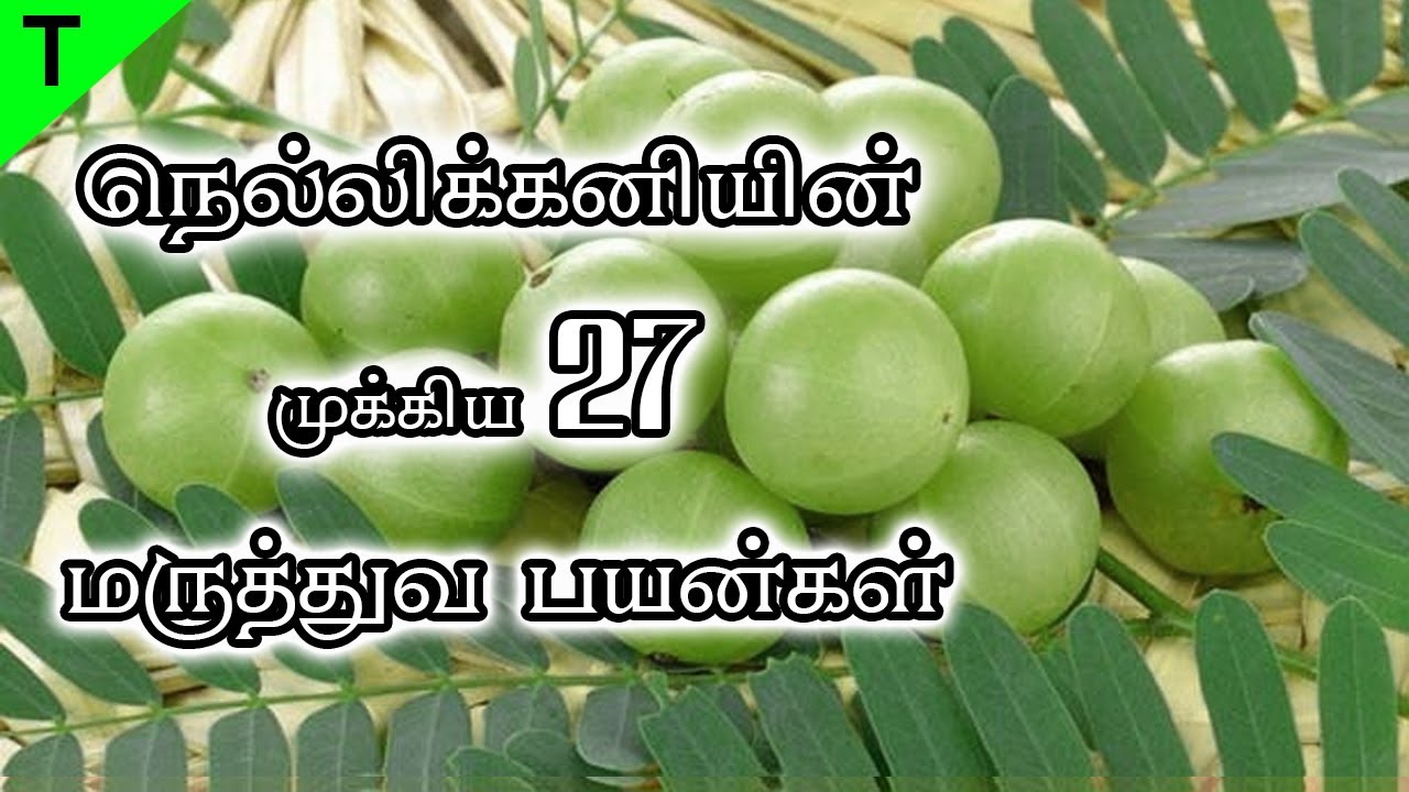 நெல்லிக்காய் மருத்துவ பயன்கள் | Nellikai Benefits In Tamil | Top 27 ...