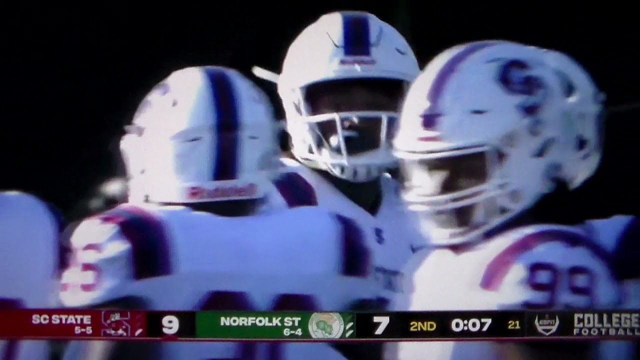 South Carolina State QB Corey Fields 21 yard TD pass to Shaquan Davis ...