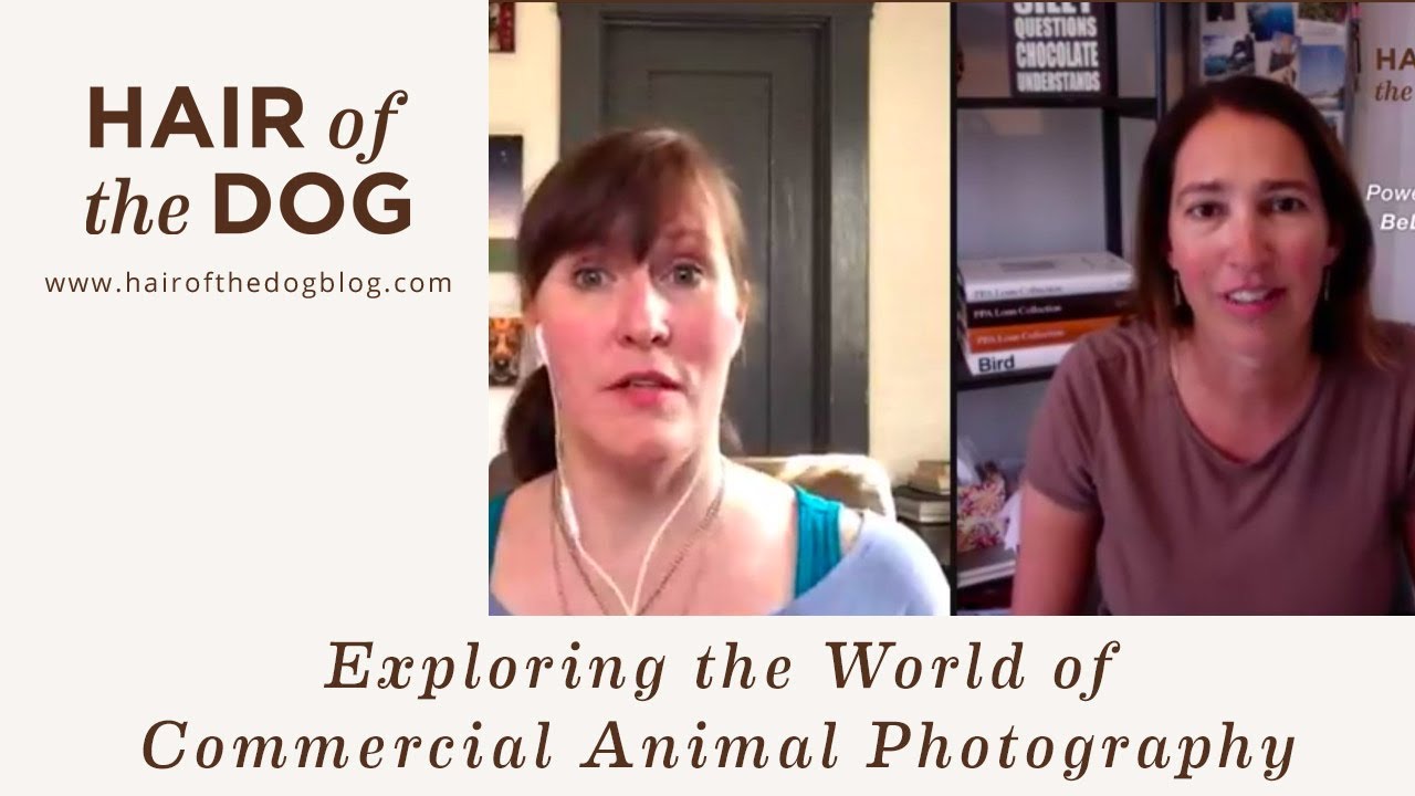 Exploring the World of Commercial Animal Photography - YouTube