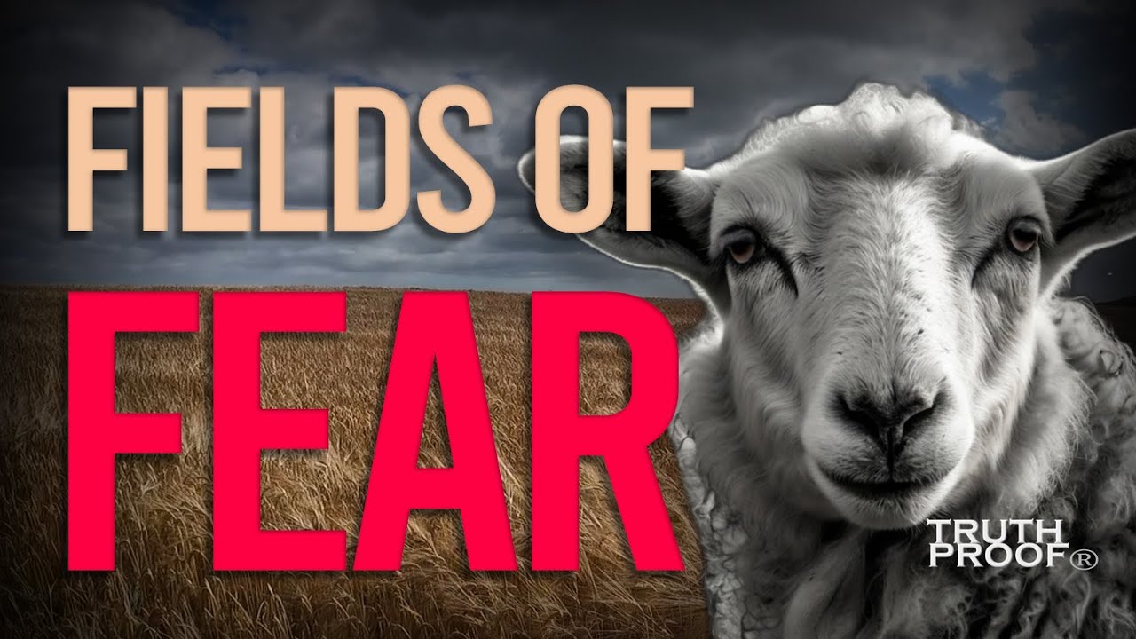 Fields Of Fear | Are They Natural Predators? - YouTube