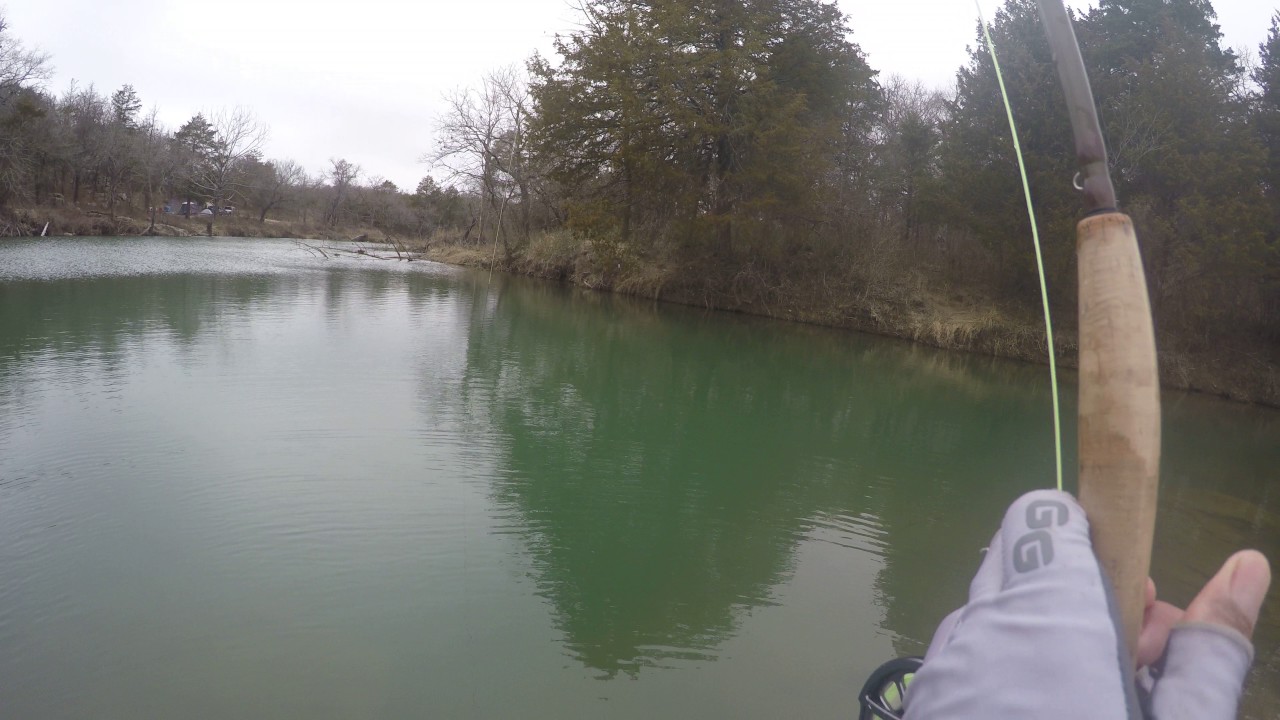20+ inch rainbow trout in blue river - YouTube