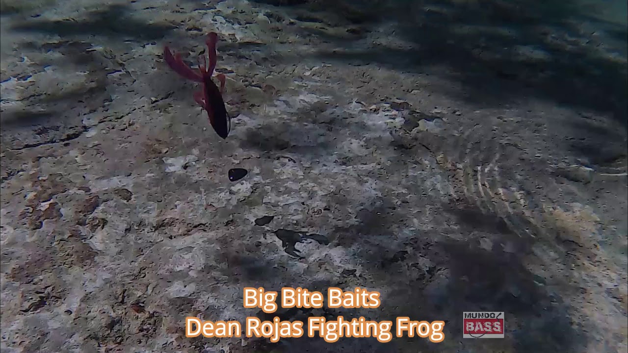 Big bite Baits Dean Rojas Fighting Frog Texas Rig - YouTube