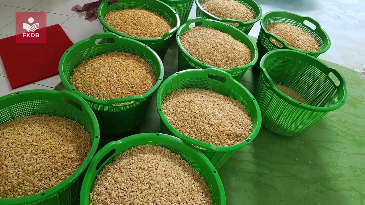 UKM Rumah Tempe Azaki Produsen Tempe Ekspor Pertama dari Bogor ...
