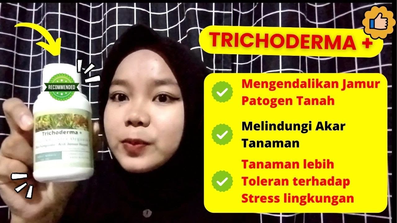 PESTISIDA ORGANIK - TRICHODERMA + | FUNGISIDA HAYATI MULTI MANFAAT ...
