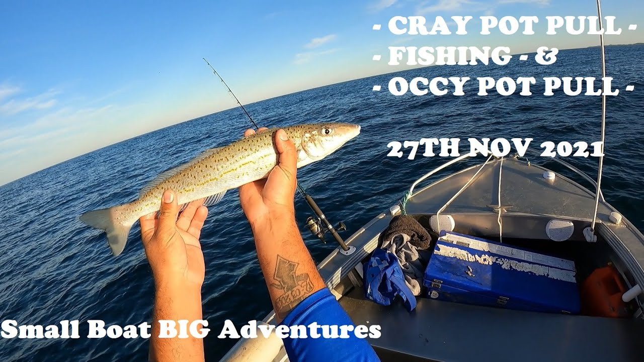 PULLING THE CRAYPOTS, OCTOPUS POTS AND FISHING! BIG MORNING ON THE ...