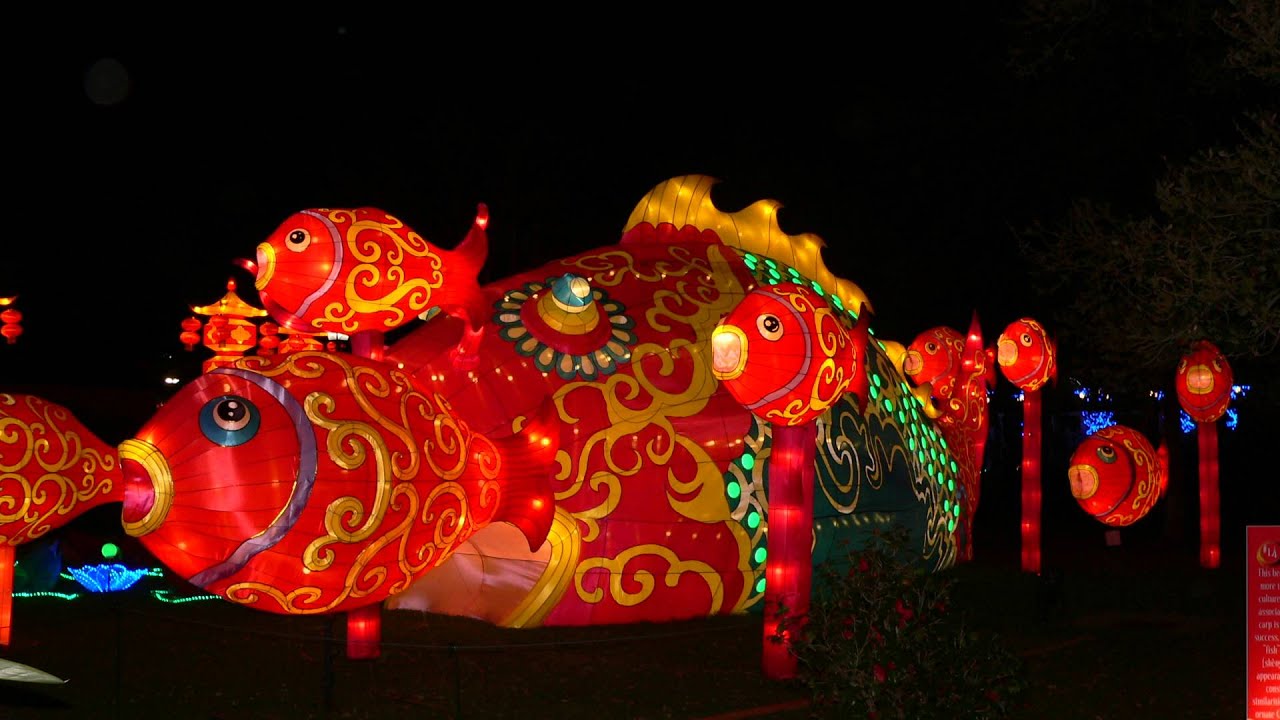 China Lights with Video - YouTube