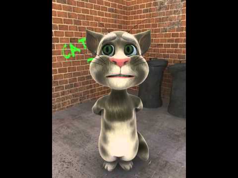 Talking Tom stalker - YouTube