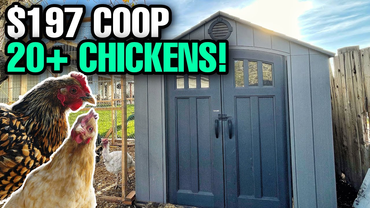 CHEAP And EASY DIY Chicken Coop! Save Time And MONEY! - YouTube