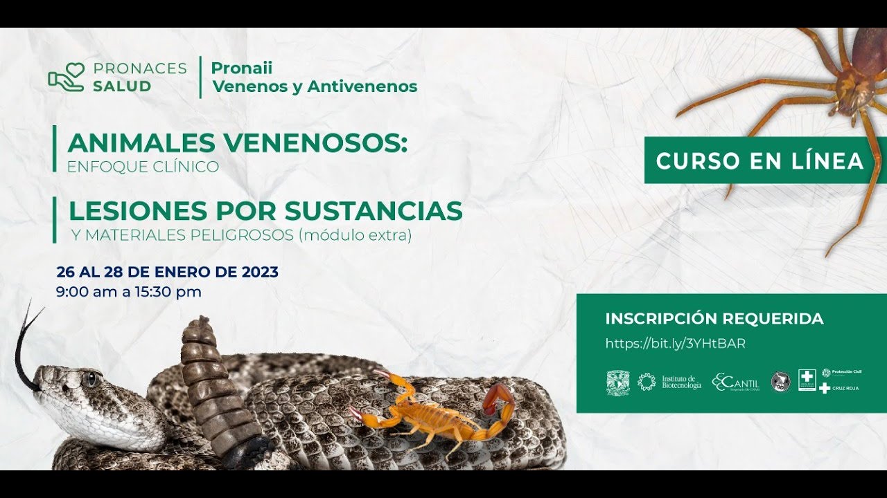 Curso en línea Animales venenosos: enfoque clínico. Lesiones por ...