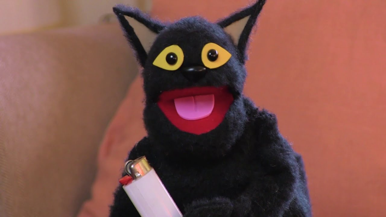 Animal Behavior Episode 5 - YouTube